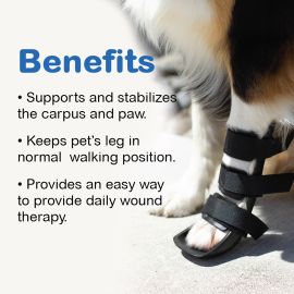Front Leg Splint – OrthoVet LLC