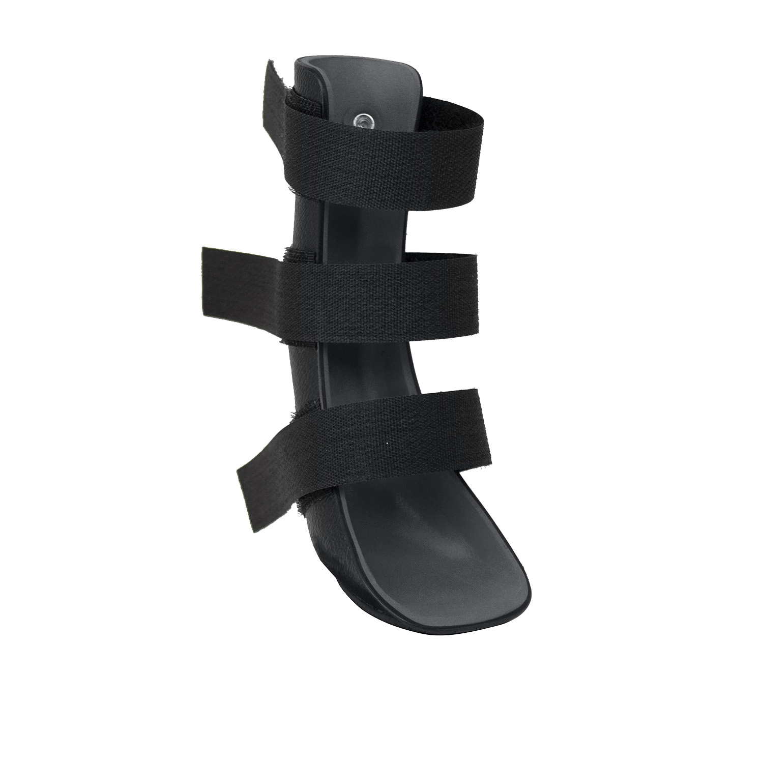 Front Leg Splint – OrthoVet LLC