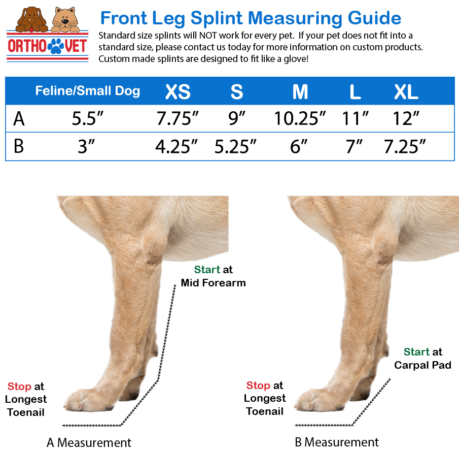 Front Leg Splint – OrthoVet LLC
